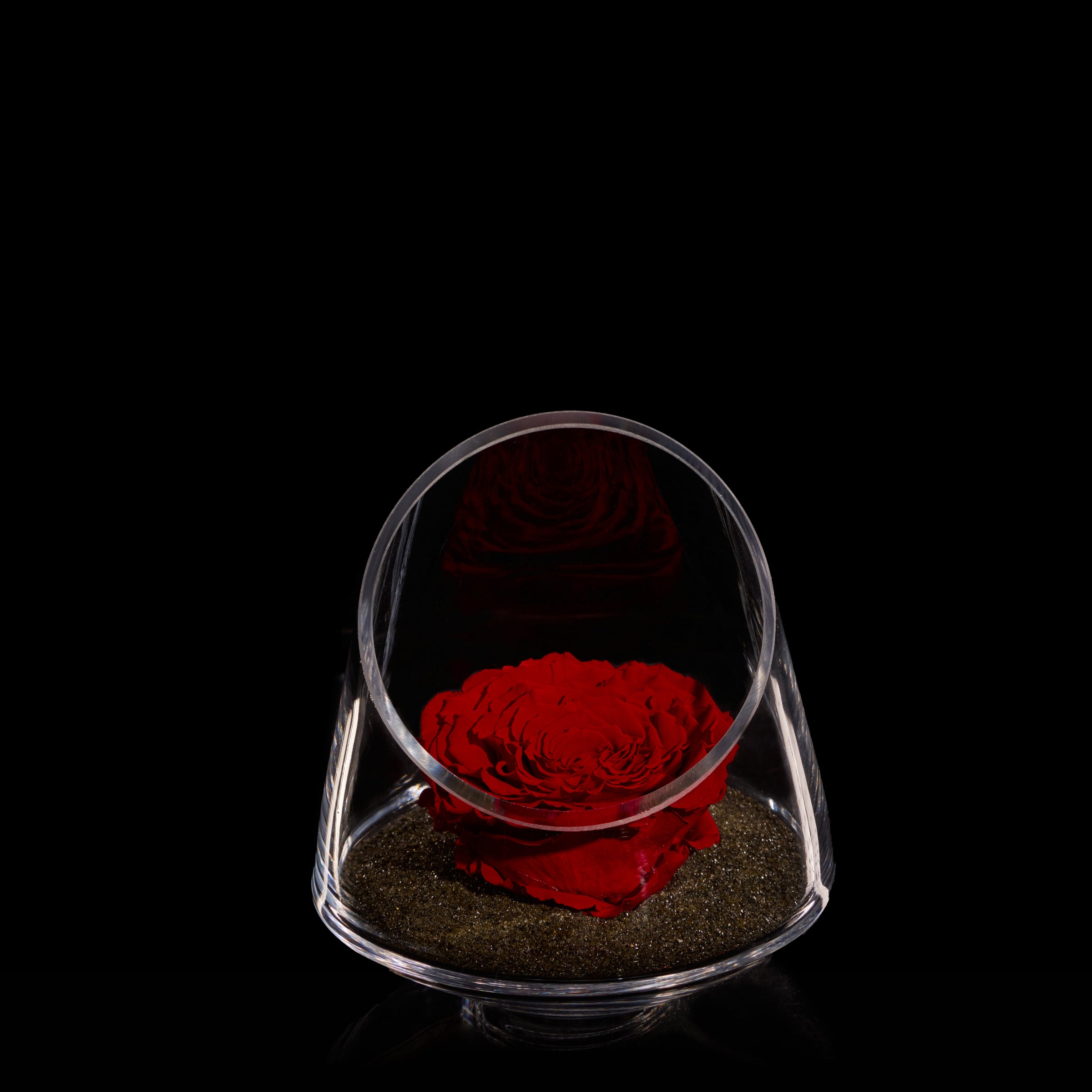 Trop Style | Bloom Flowers