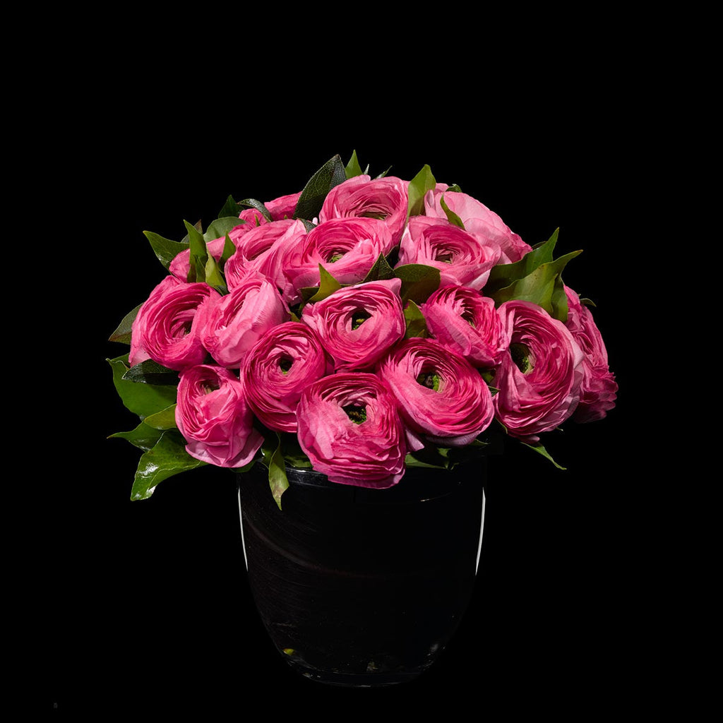 Products – Bloom Flowers