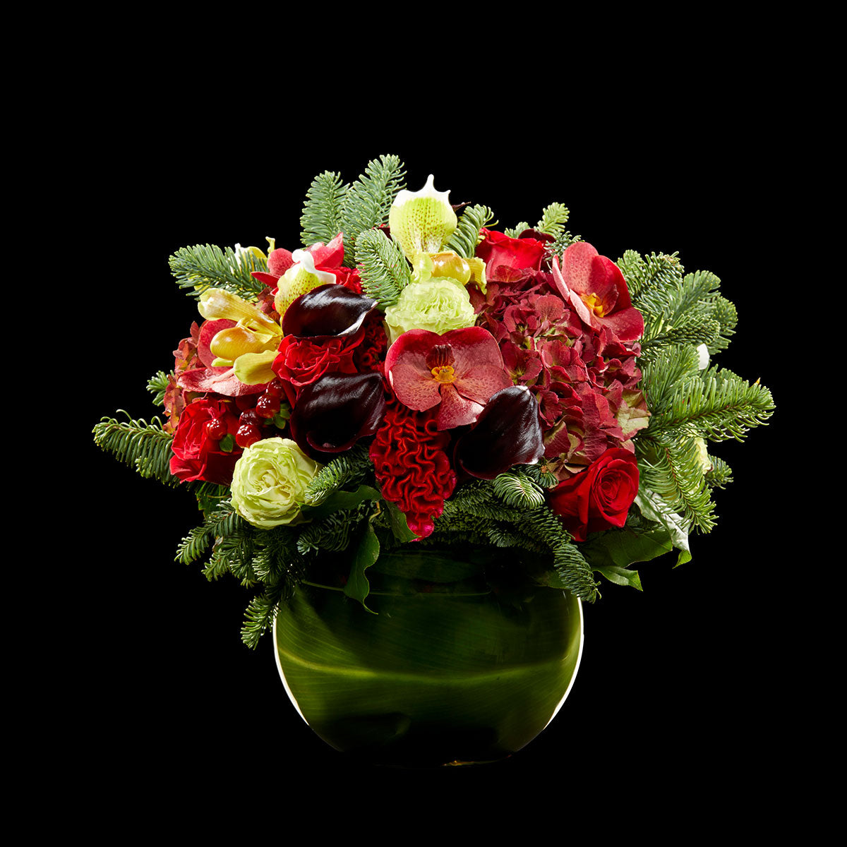 Bûche de Noël | Bloom Flowers