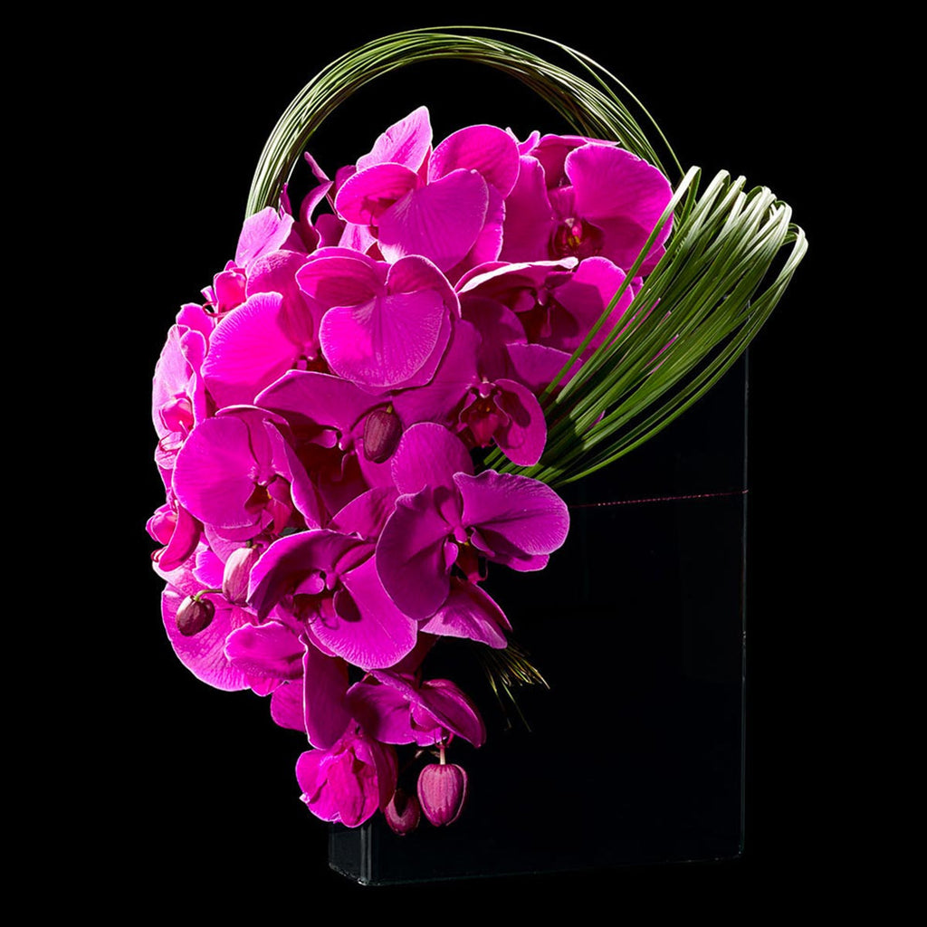 Haute Collection | Bloom Flowers