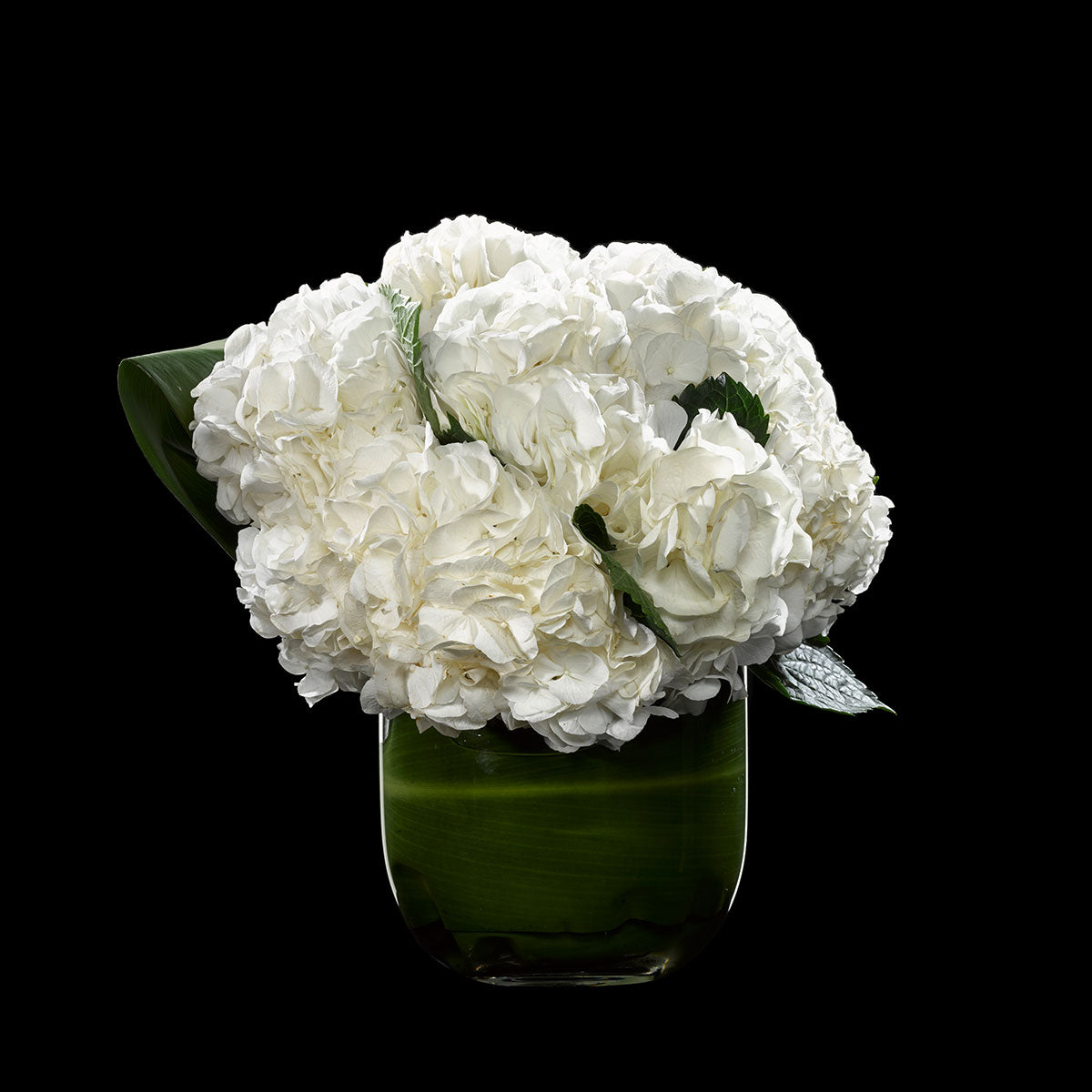 Euphoria Hydrangeas Bouquet | Bloom Flowers