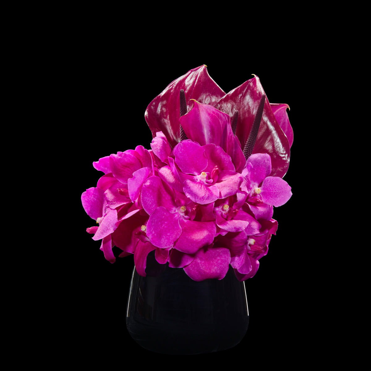 Entire Collection of Luxury Flowers | Bloom Flowers – Tagged "Purple"