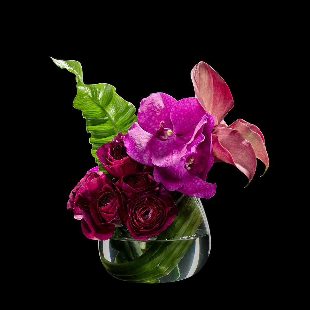 Splendor Calla Lilly Bouquet | Bloom Flowers