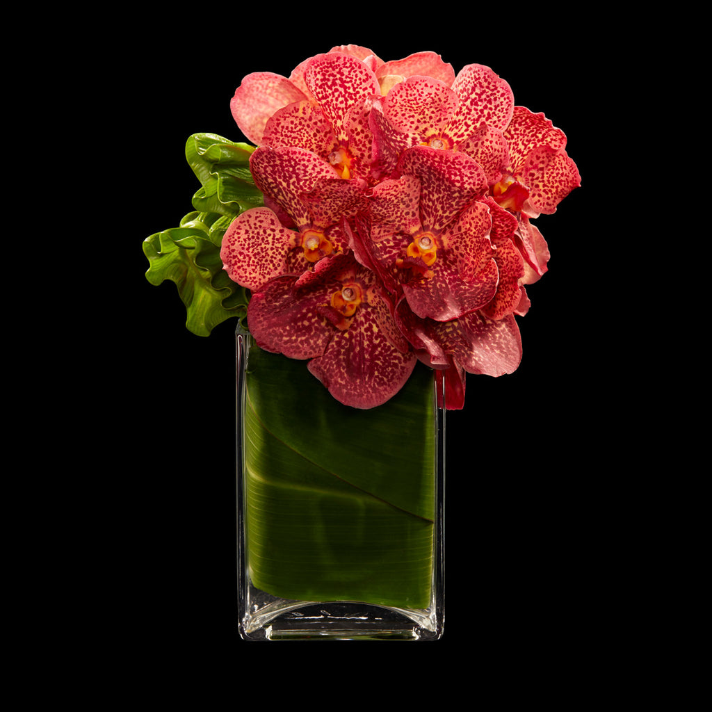 Chic Bloom Flowers Chic Bloom Flowers